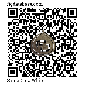 Fig Database®: Santa Cruz White