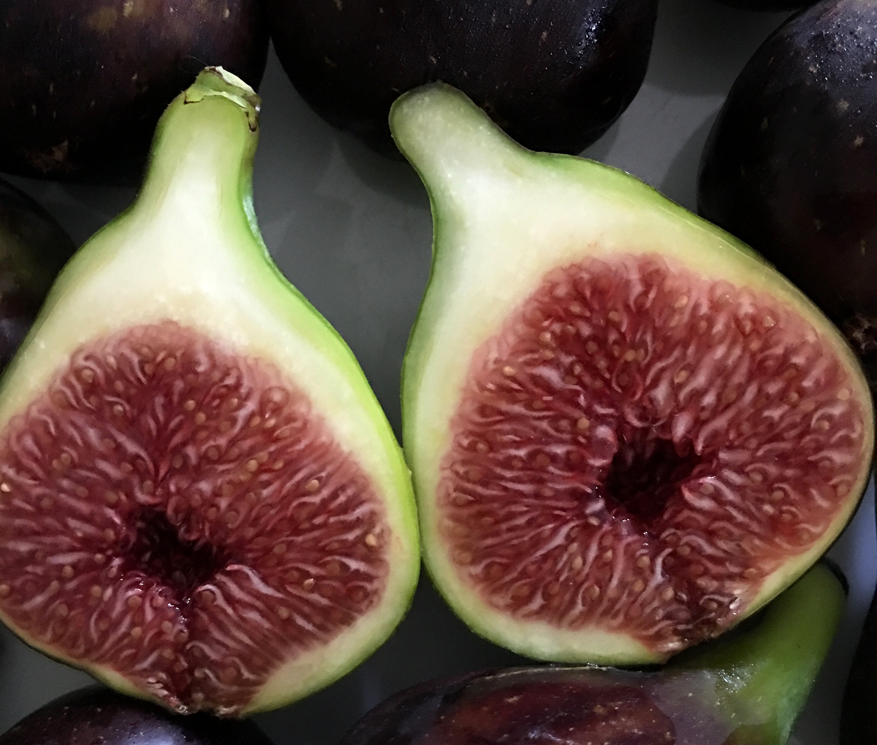 Fig Database: Figo Preto