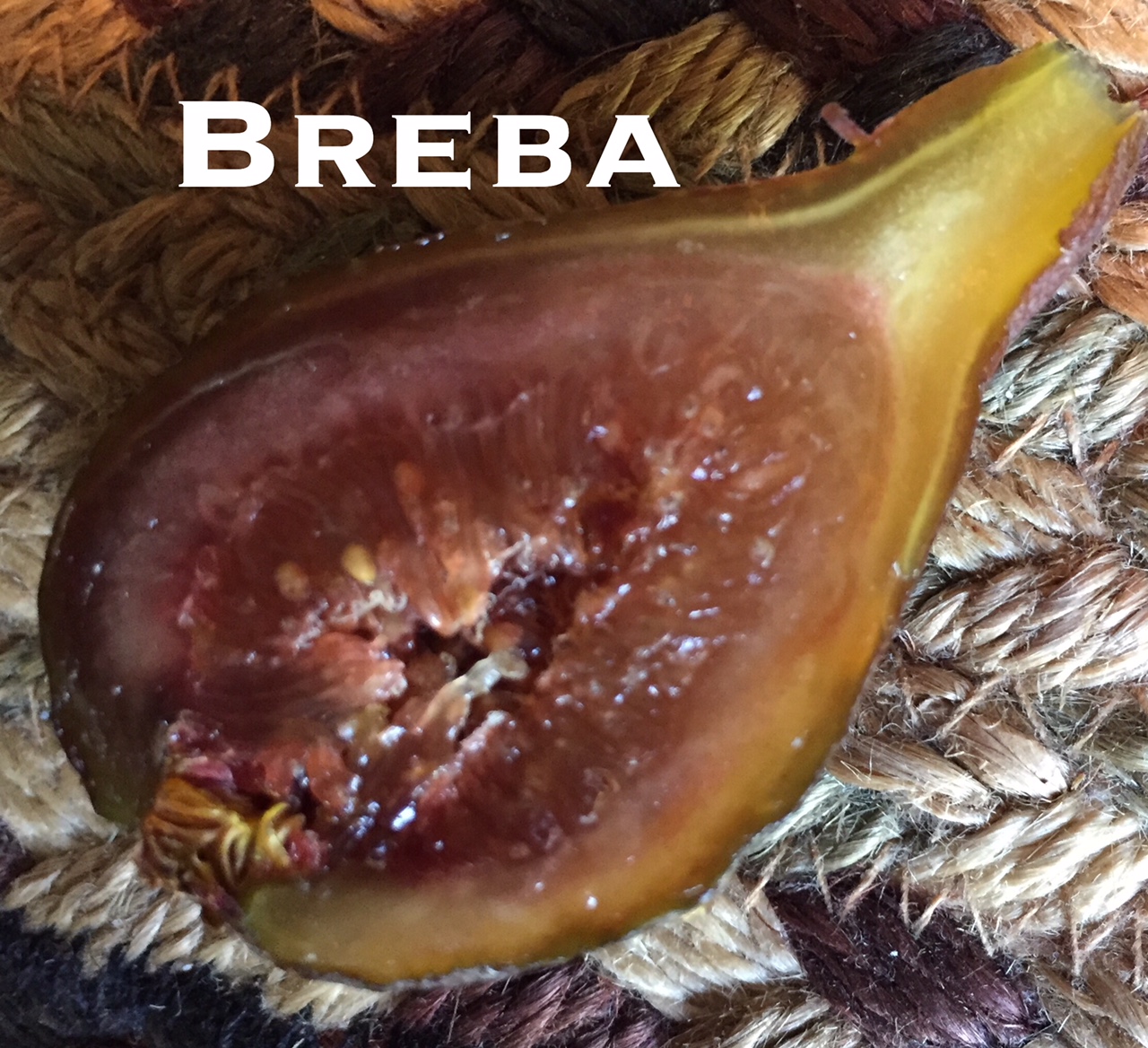 Fig Database®: Lebanese Red