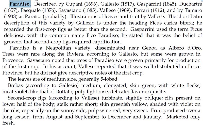 Fig Database®: Paradiso